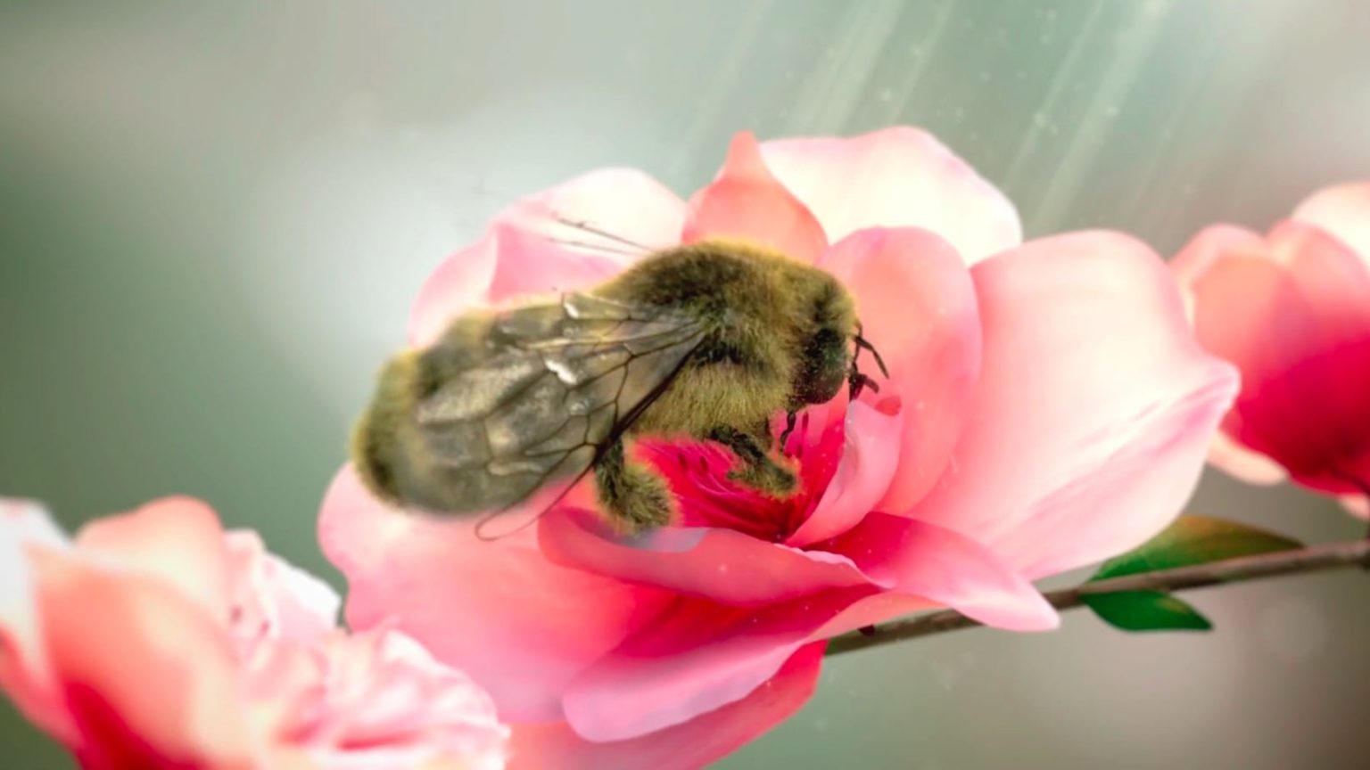 The Color Club | Marketing Performance Partner | The Bee Case